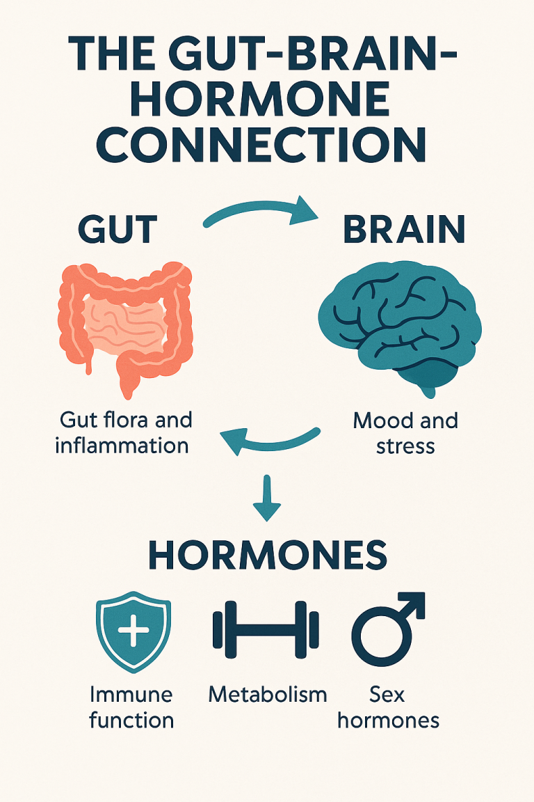 How Gut Health Affects Hormones in Men | Level It Naturally